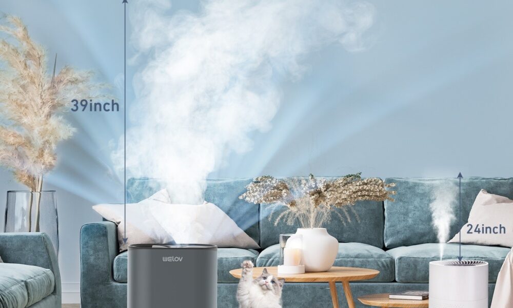 What Are Some Important Facts About Humidifiers? - TechBullion
