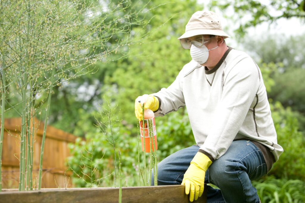Why Is Pest Control Important and Necessary? - TechBullion