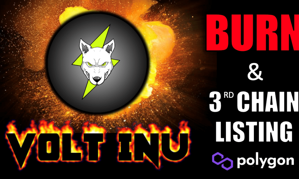 Volt Inu: Burn the Bridge Liquidity and List VOLT on Polygon - TechBullion