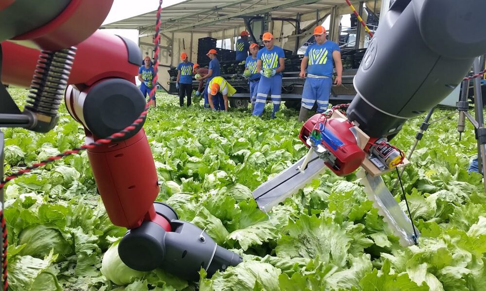 The Role Of Robotics In Sustainable Manufacturing Practices - TechBullion
