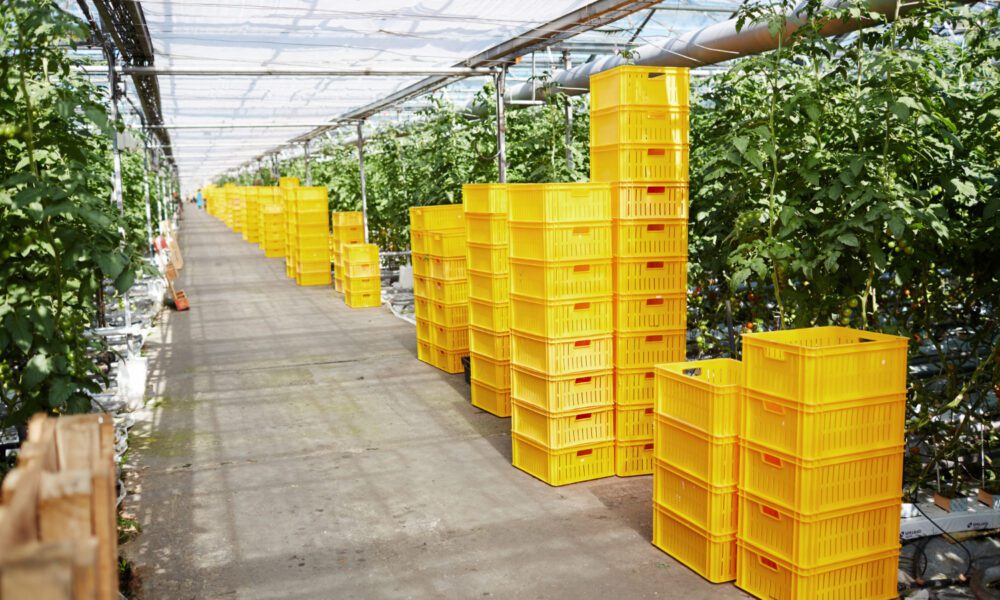 10 Must-Have Greenhouse Supplies - TechBullion