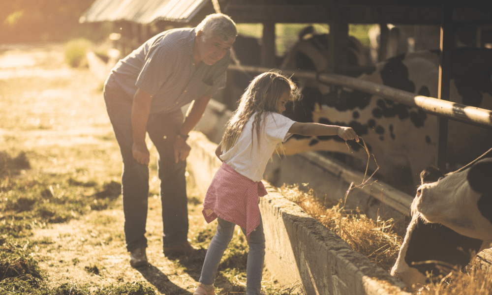 Optimizing Animal Welfare on Farms: Best Practices Recommended by Meg ...