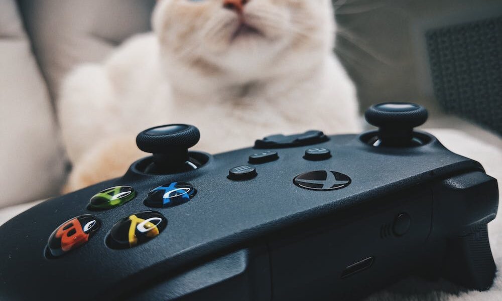 Why Every Budget-Conscious Gamer Needs Memberships and Gift Cards ...