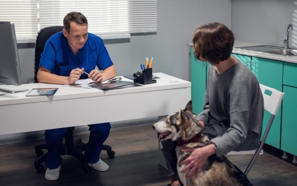 5 Types of Disability Insurance for Veterinarians - TechBullion