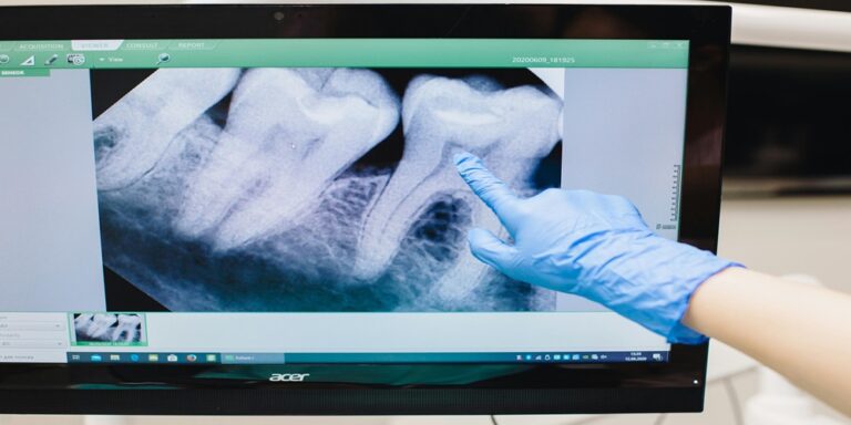 Biomimicry in Action: How Animals are Driving Breakthroughs in Medical ...