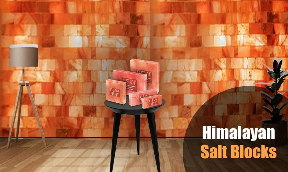 What Are the Advantages of Using a Himalayan Salt Blocks? - TechBullion
