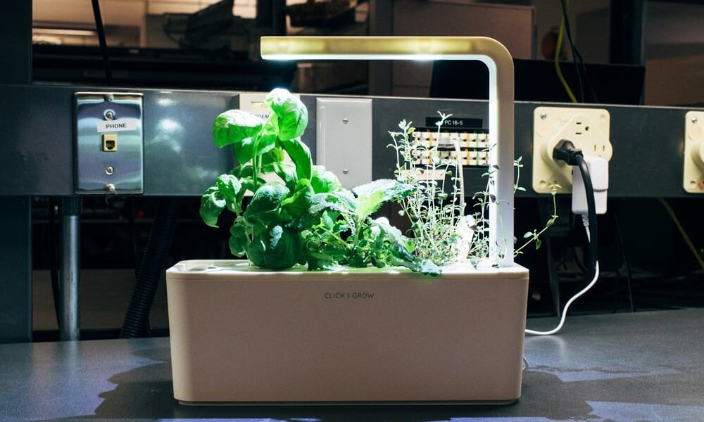 How to Design a Smart Indoor Garden with LED Lighting Tech? - TechBullion