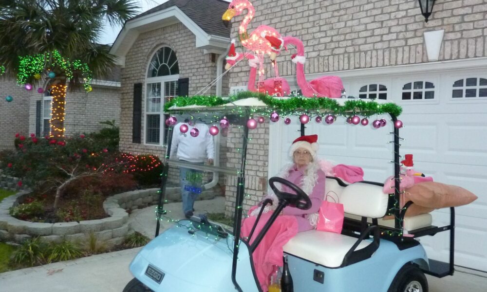 Flamingo Custom Carts: Transforming Golf Carts, Custom Design Carts in ...