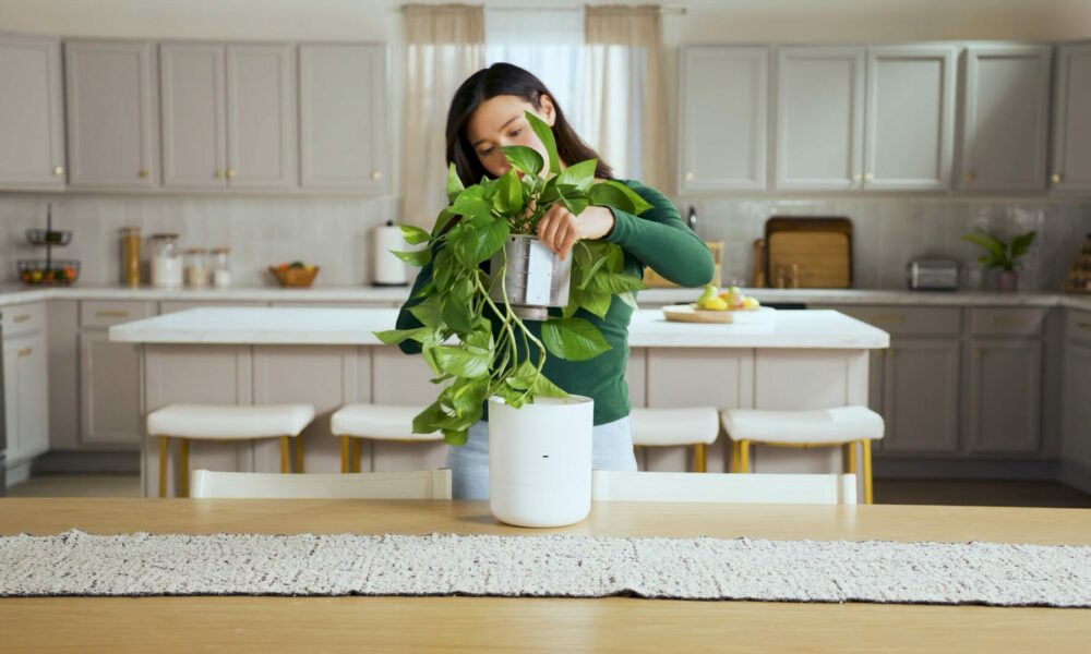 LeafyPod Launches on Kickstarter: The AI smart planter that keeps your ...