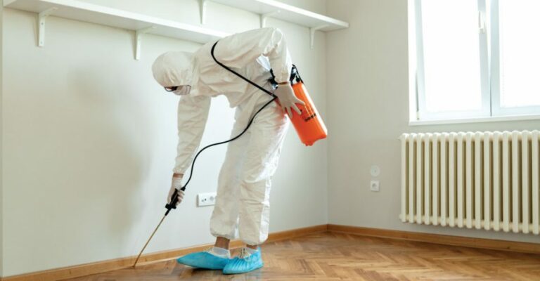 The Benefits of Year-Round Pest Control for a Healthy Home - TechBullion