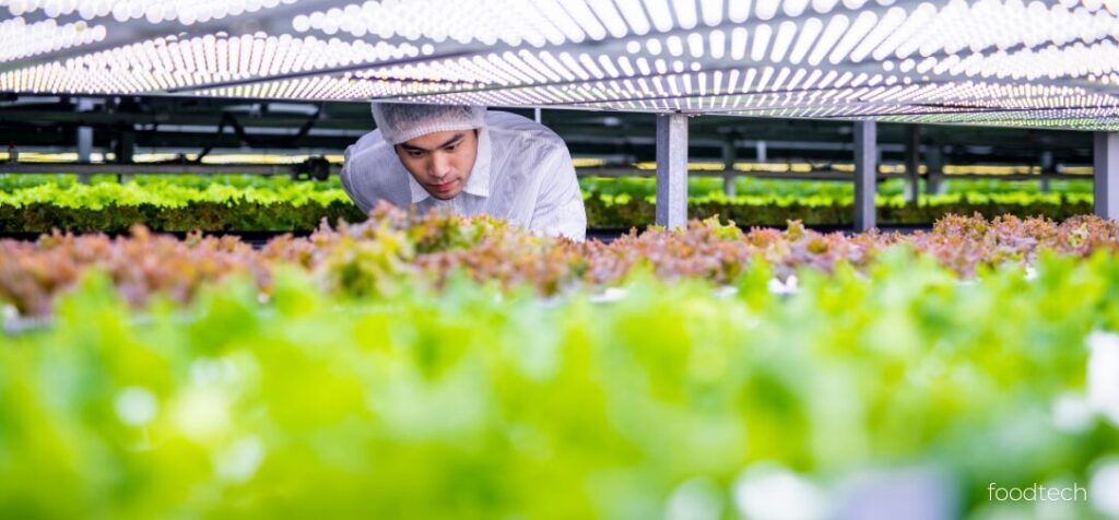 Tech Is Shaping the Future of Food: Here's How Venture Capital is ...