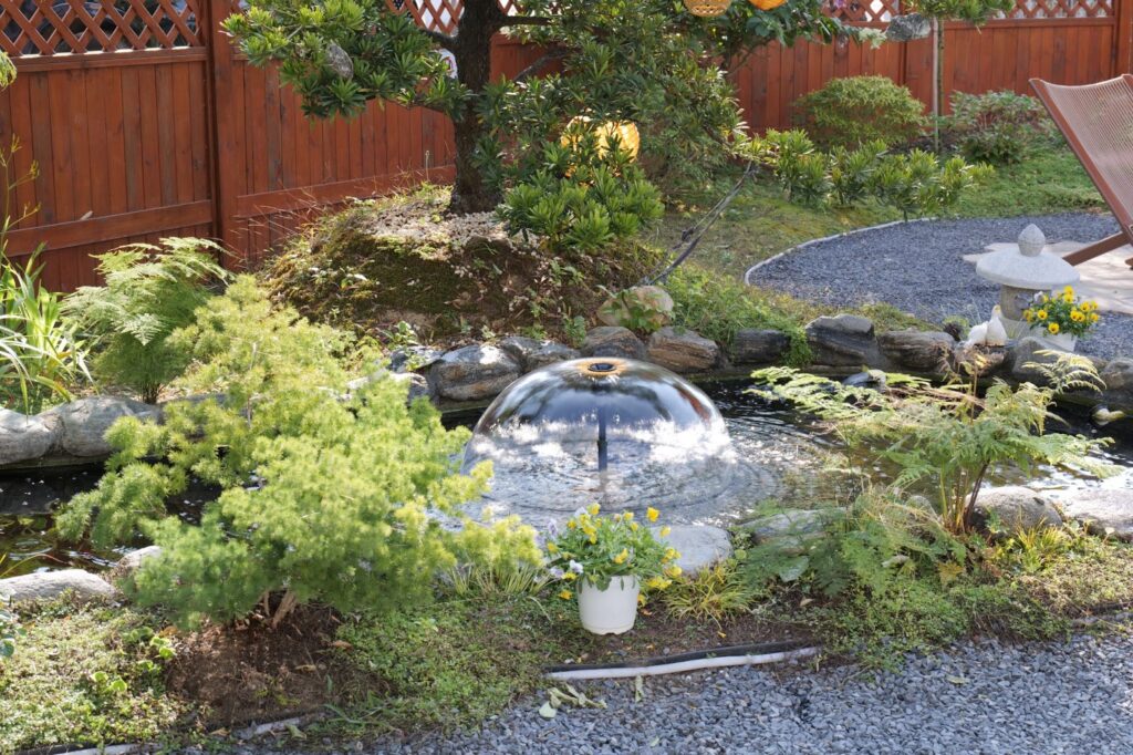 Why Your Pond Water Is Green – Causes & Fixes Every Pond Owner Should ...