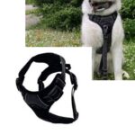 Pawsafe Harness Reviews: Must Read Before Buying? - TechBullion