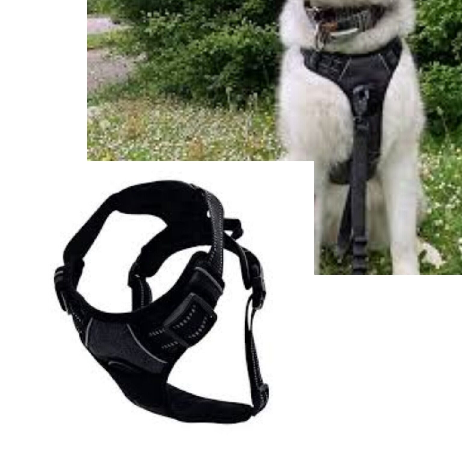 Pawsafe Harness Reviews: Must Read Before Buying? - TechBullion