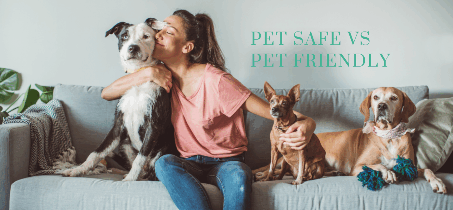 Pet Safe vs Pet Friendly Ice Melt: The Hidden Truth of These ...