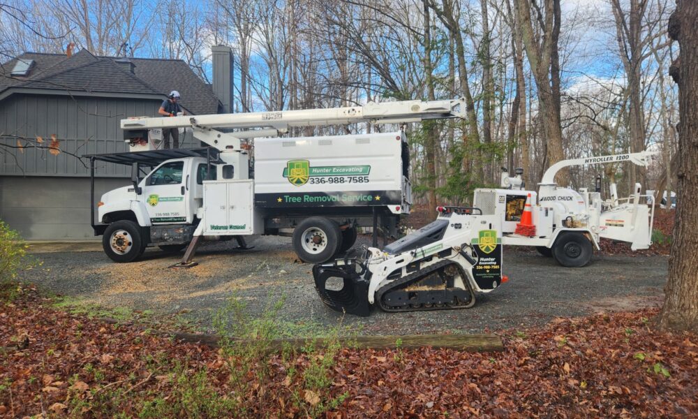How power line proximity changes tree removal pricing in Durham, Cary ...