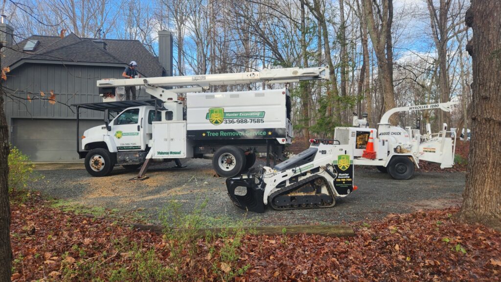 How power line proximity changes tree removal pricing in Durham, Cary ...
