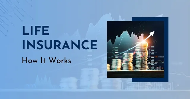 Understanding Life Insurance Policies and How They Work - TechBullion